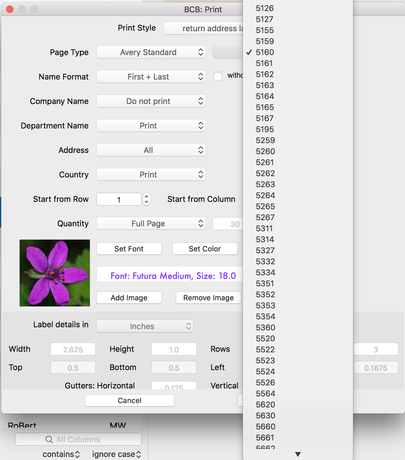  Avery 18294 Template For Google Docs 